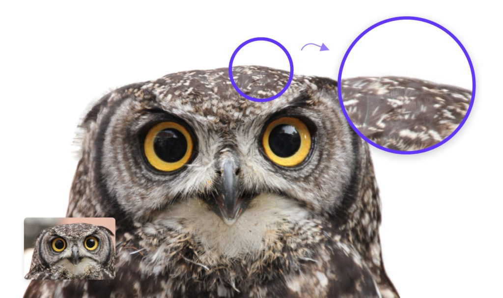 Clipping Magic 3.0 - Better AI, Better Editor, Better Edges!